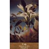 Goblen Cale